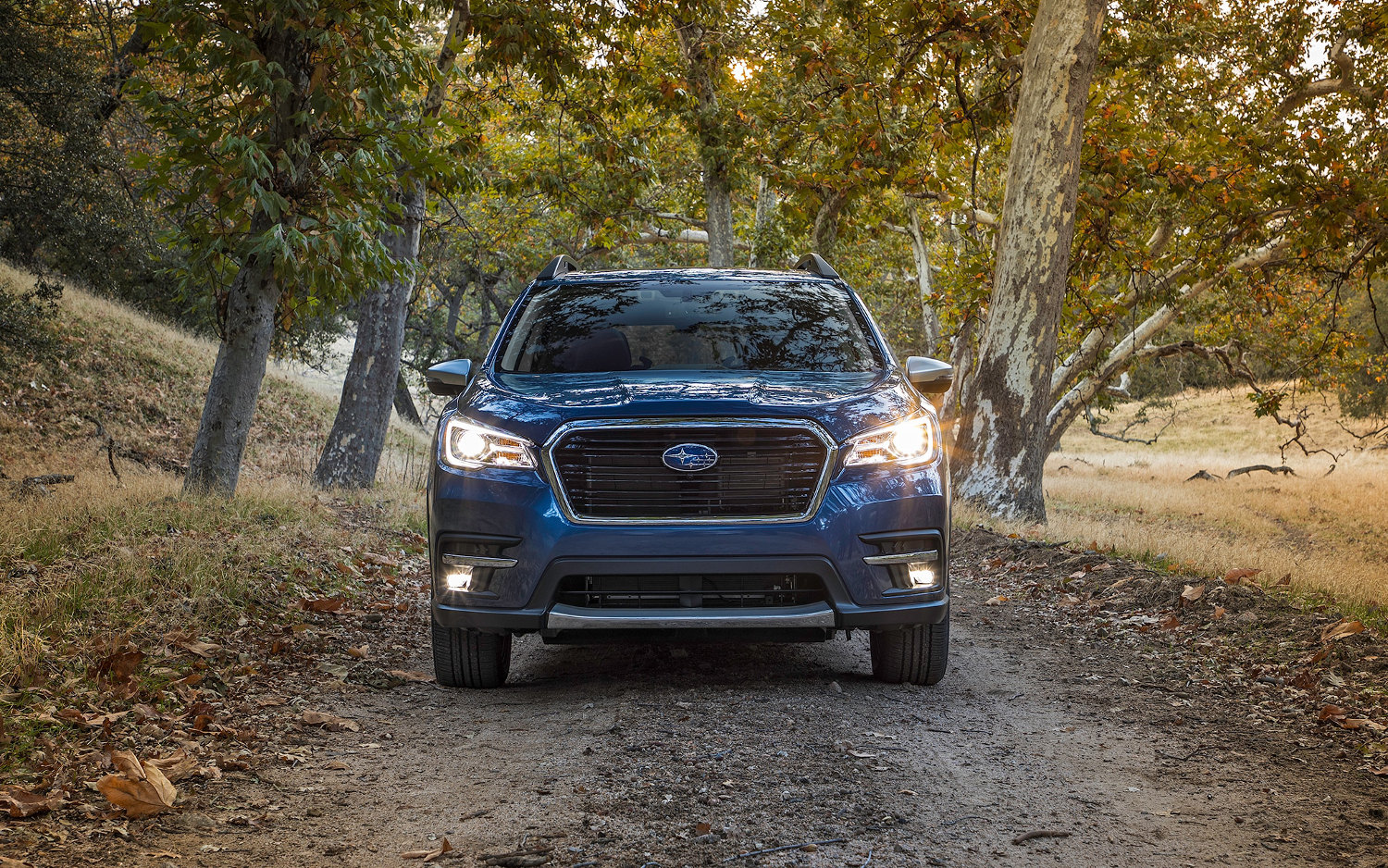 Comparison - Subaru Forester Sport 2019 - vs - Subaru Ascent Premium ...