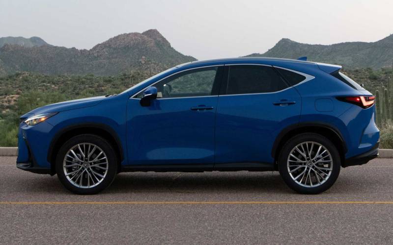 Lexus NX 350h 2022 | SUV Drive